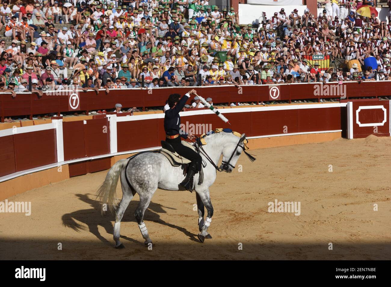 Leonardo Hernández, a Spanish matador on horseback, performs with a ...