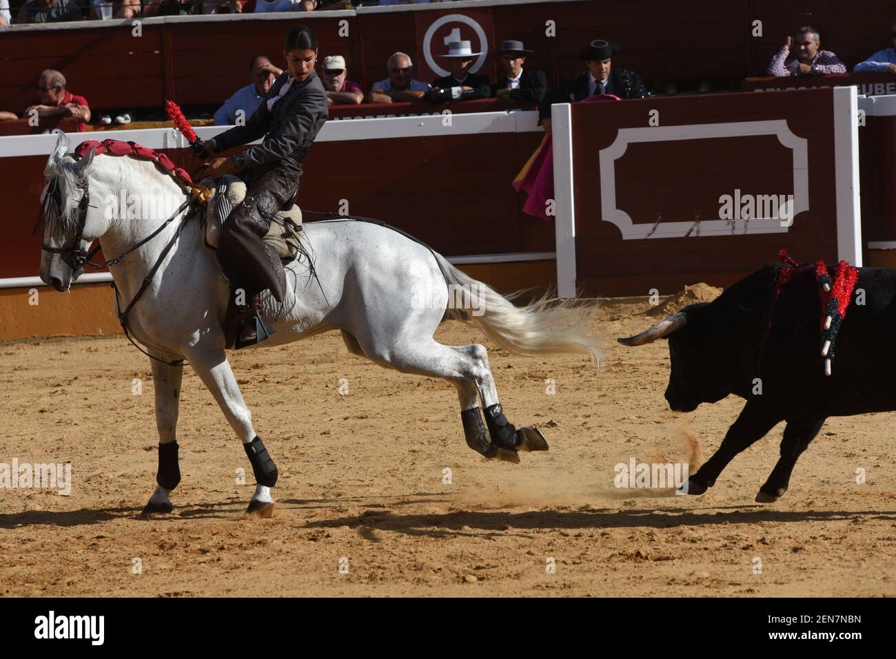 Lea Vicens, a French matador on horseback, performs with a Benitez ...