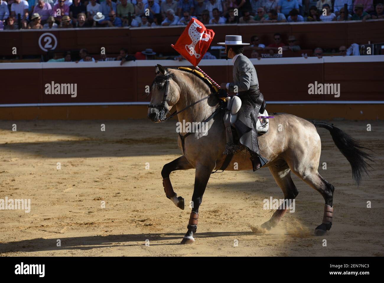 Mario Perez, a Spanish matador on horseback, is seen during a bullfight ...