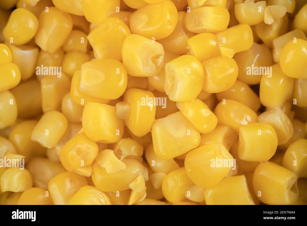 Corn seed texture hi-res stock photography and images - Alamy