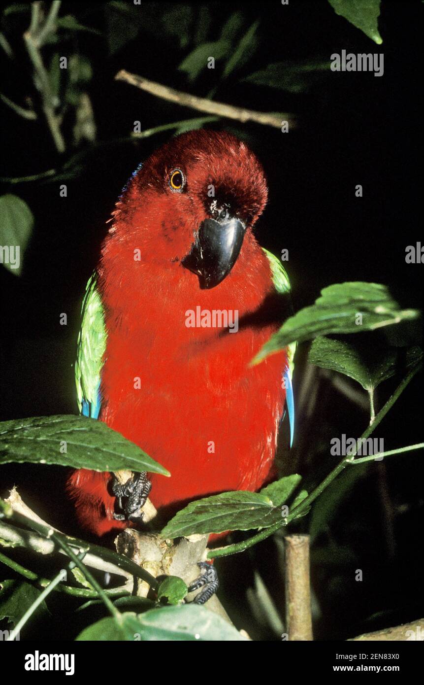 Kandavu island hi-res stock photography and images - Alamy