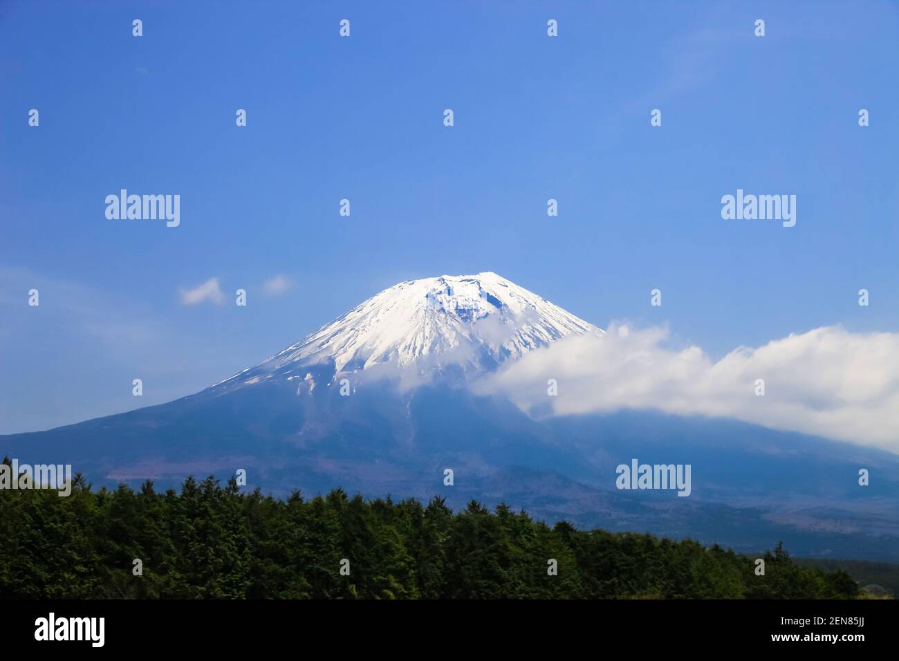 Beautiful Mount Fuji, japan., Mount Fuji with green field and blue sky ...