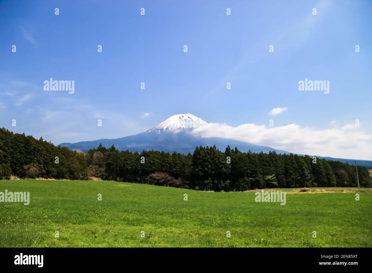Beautiful Mount Fuji, japan., Mount Fuji with green field and blue sky ...