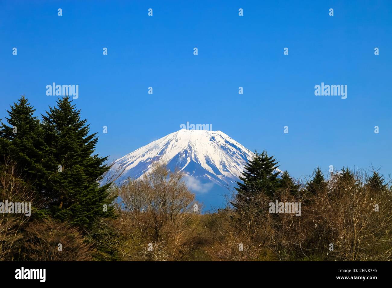 Beautiful Mount Fuji, japan., Mount Fuji with green field and blue sky ...