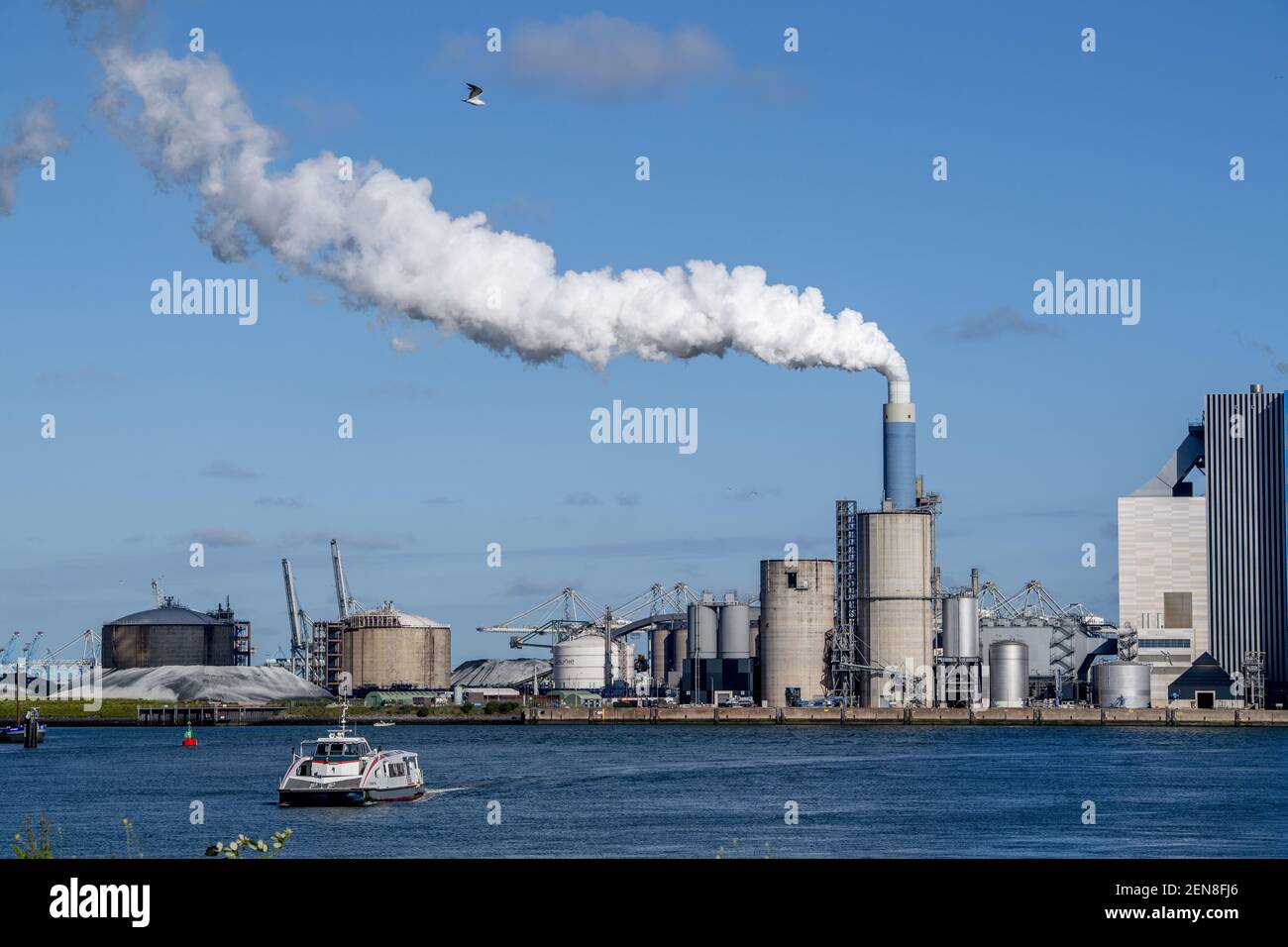 The Port of Rotterdam pictured on July 2, 2019 in Rotterdam ...