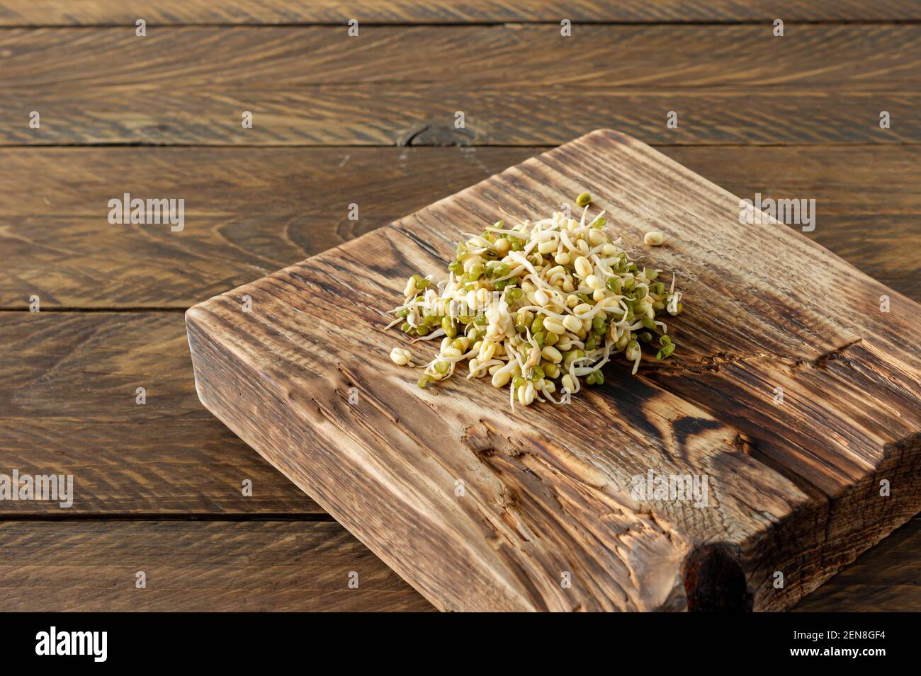 Germinated food. Sprouted beans in a plate on rustic wooden background ...