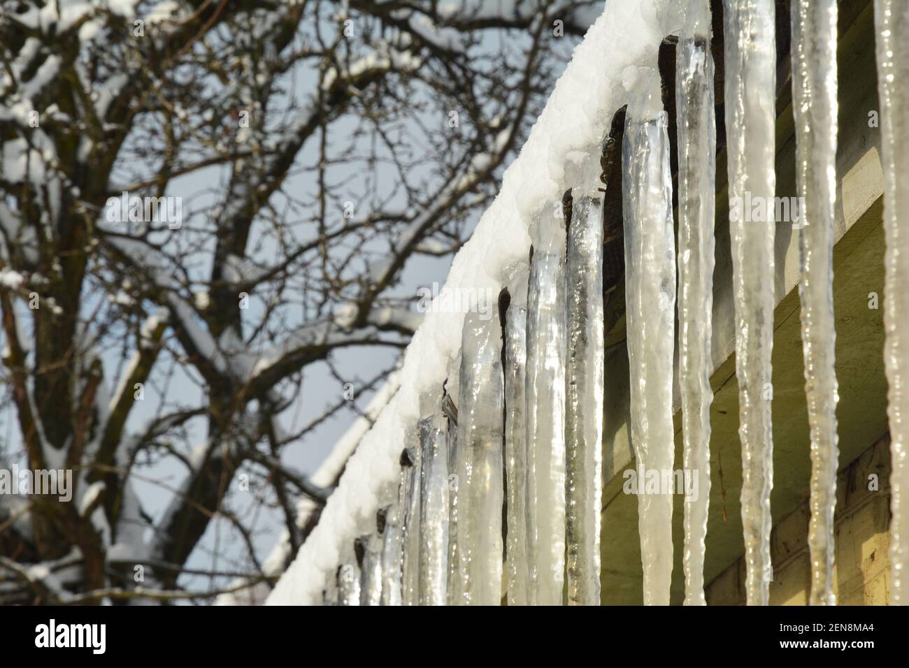 Large icicles are hanging along the edge of a house roof as a sign of ...