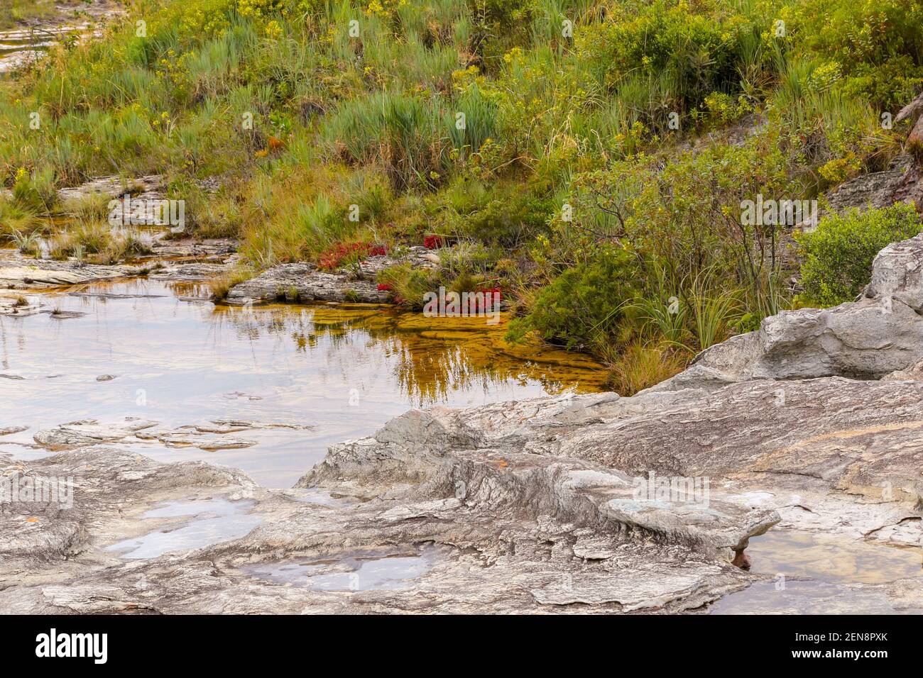 River bed of a small, almost dried out river during the dry season ...