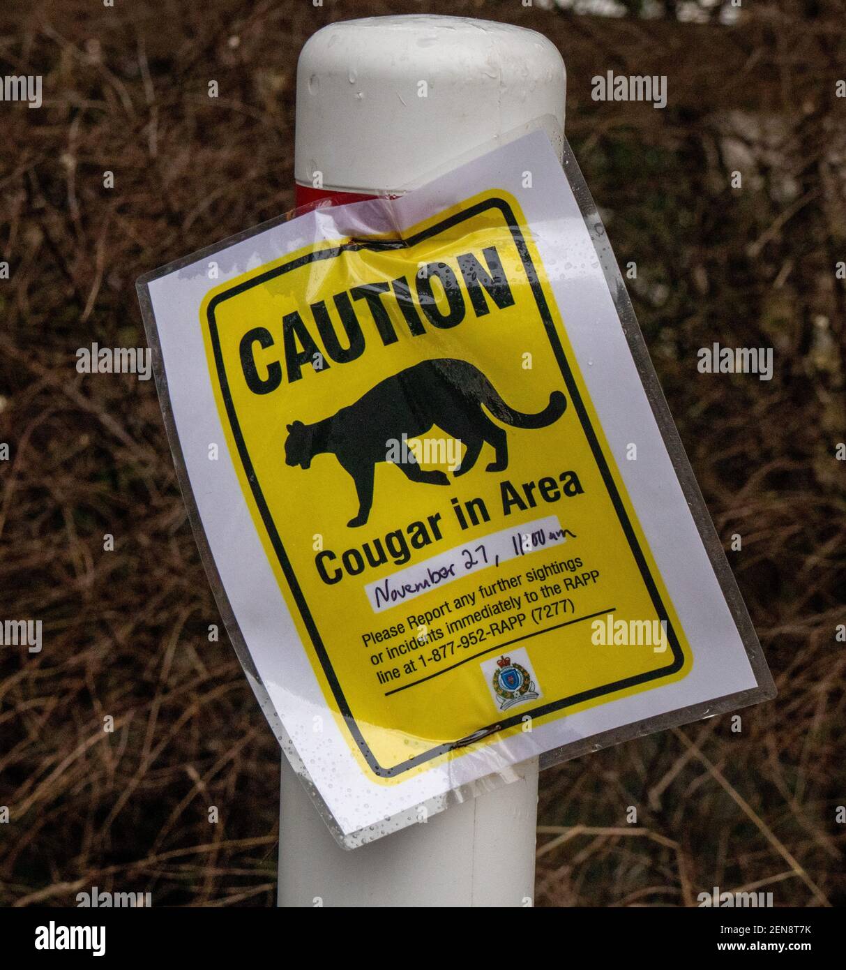 Caution animals hi-res stock photography and images - Alamy