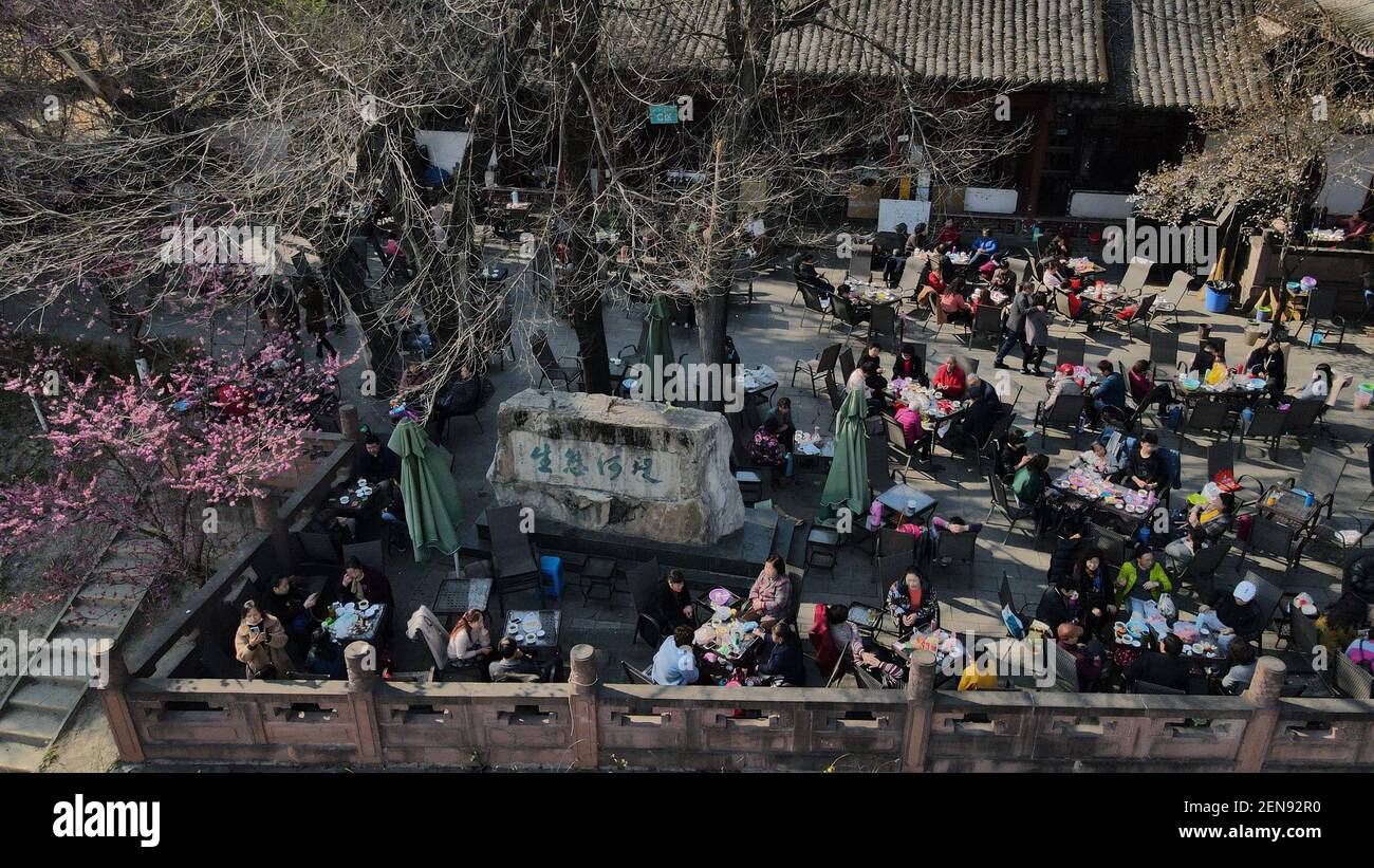 Thousands of red plum bloom along the river in Wangjiang Tower Park ...