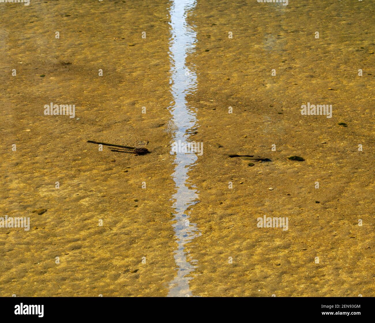 On the riverbed of a shallow river, and thanks to the water being ...