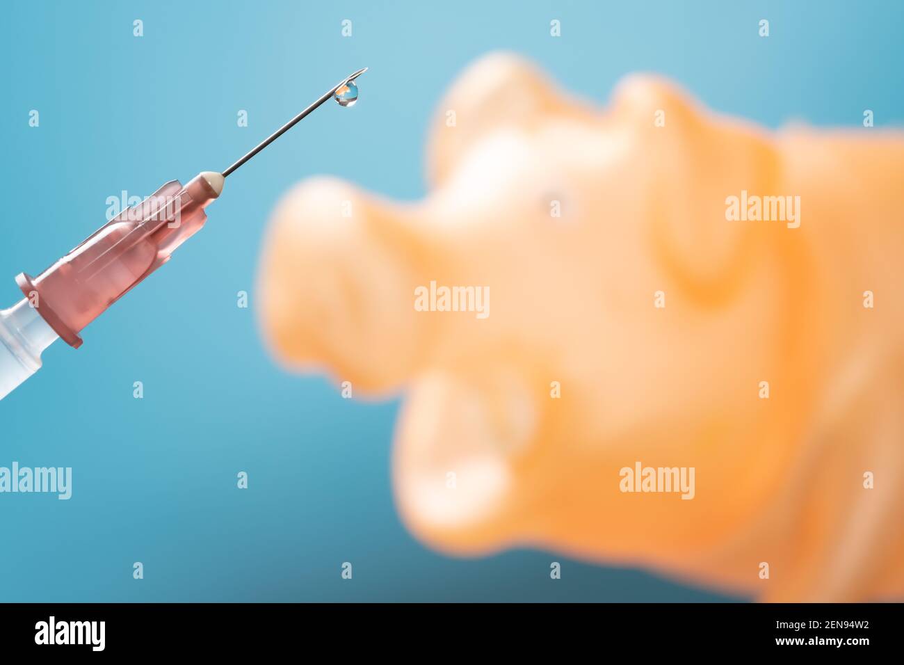syringe and a smiling swine on blue background Stock Photo - Alamy