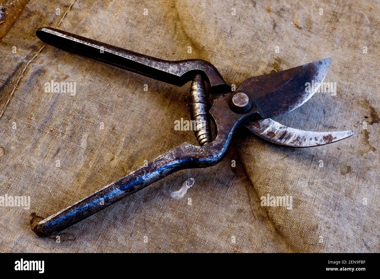 Vintage shears, France Stock Photo - Alamy