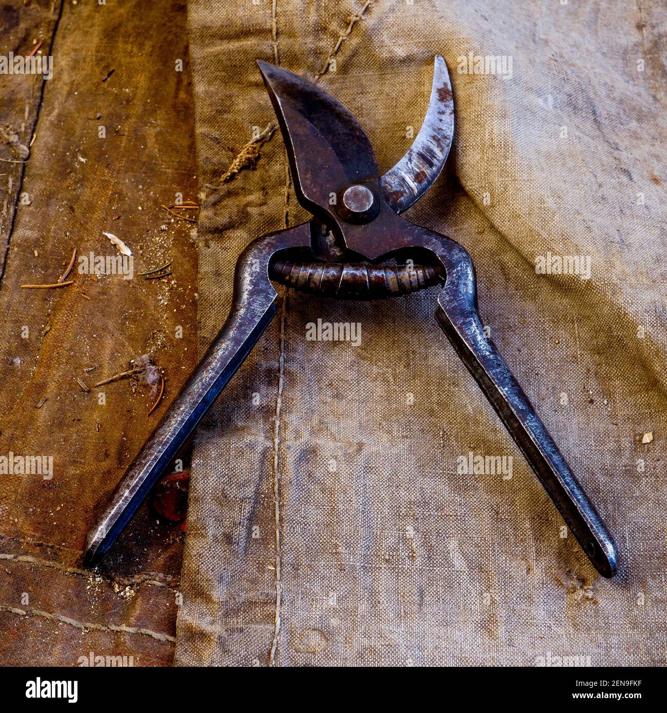 Vintage shears, France Stock Photo - Alamy