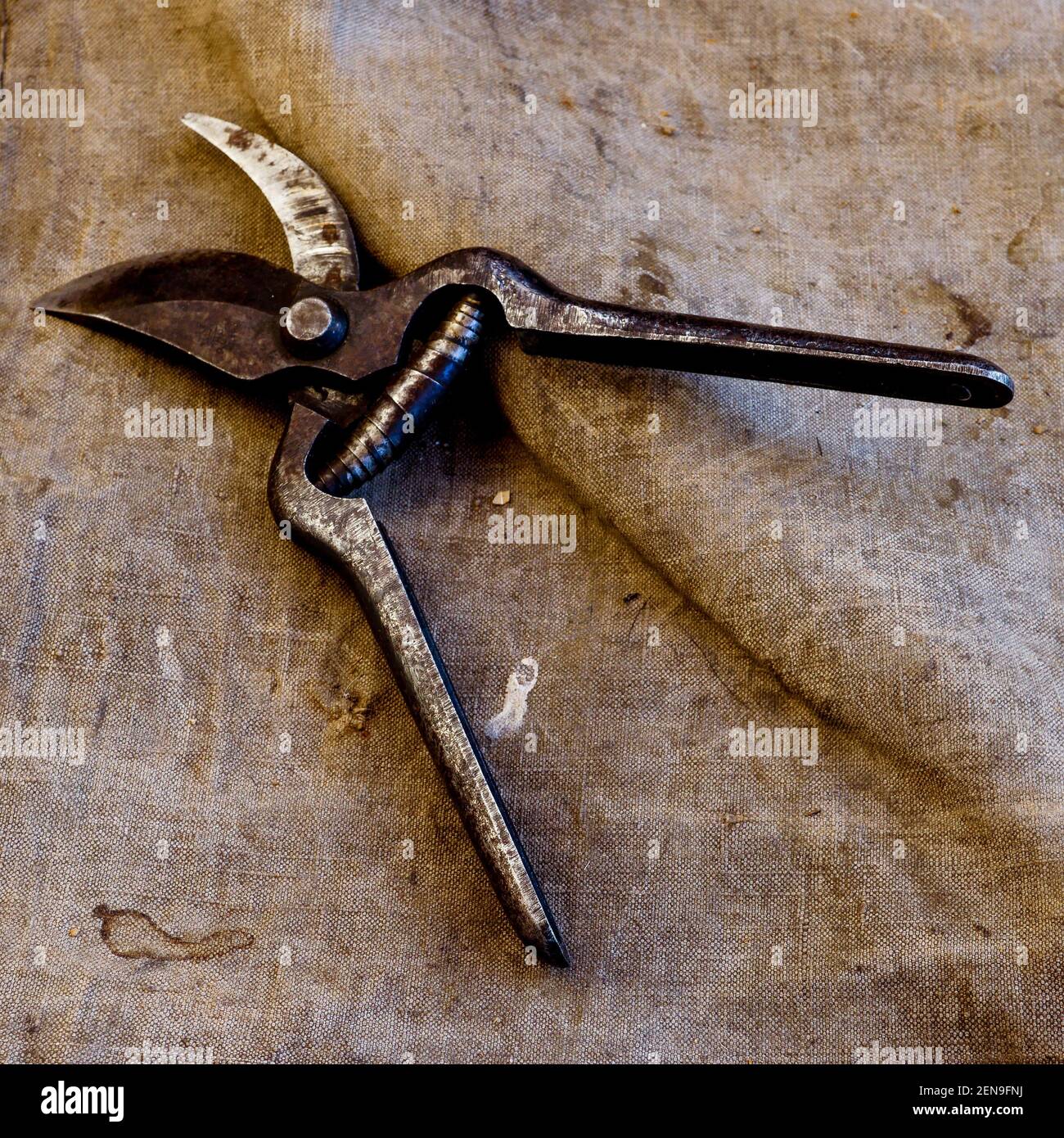 Vintage shears, France Stock Photo - Alamy