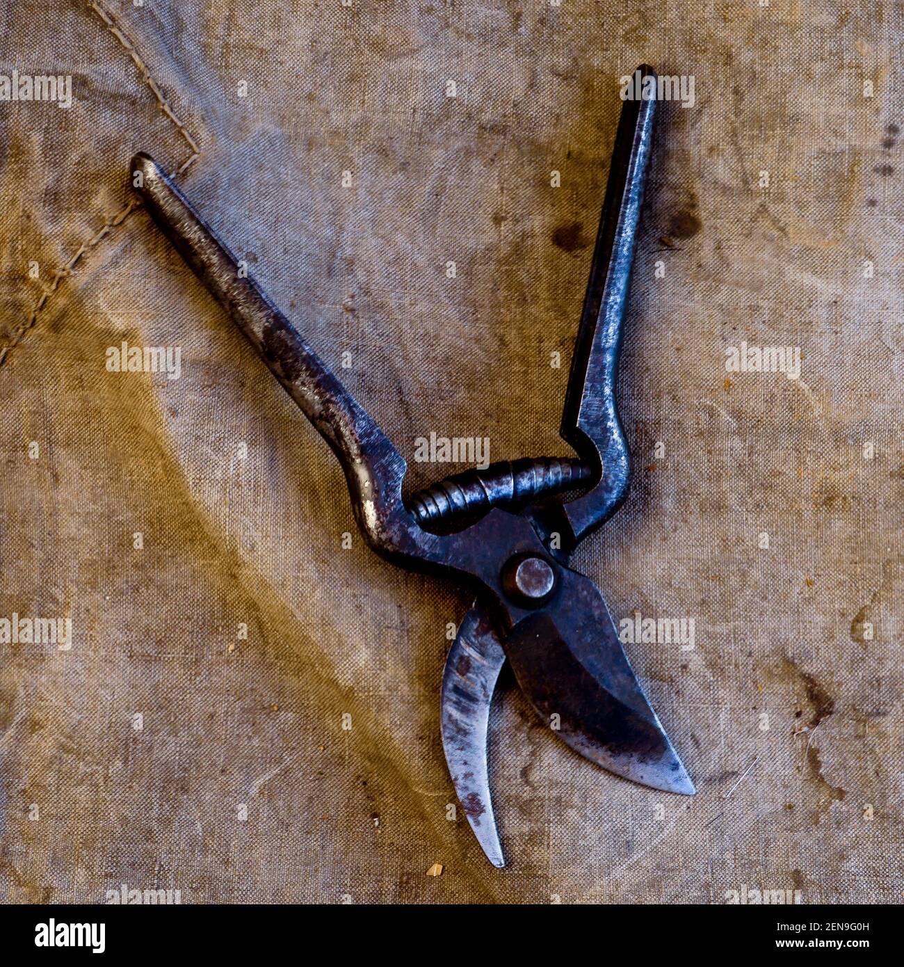Vintage shears, France Stock Photo - Alamy