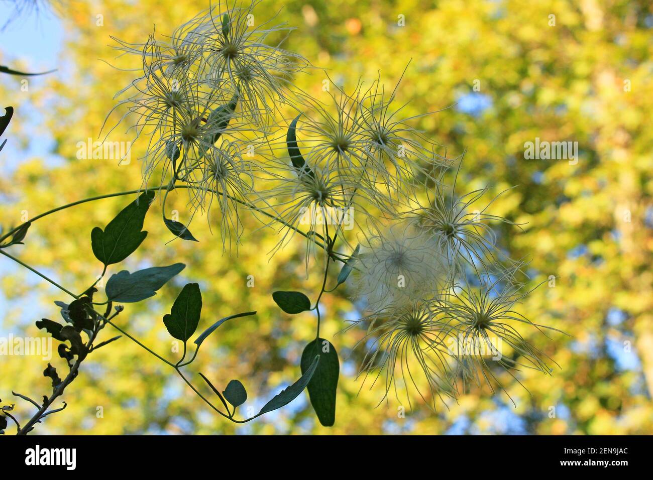 Peculiar shape hi-res stock photography and images - Alamy