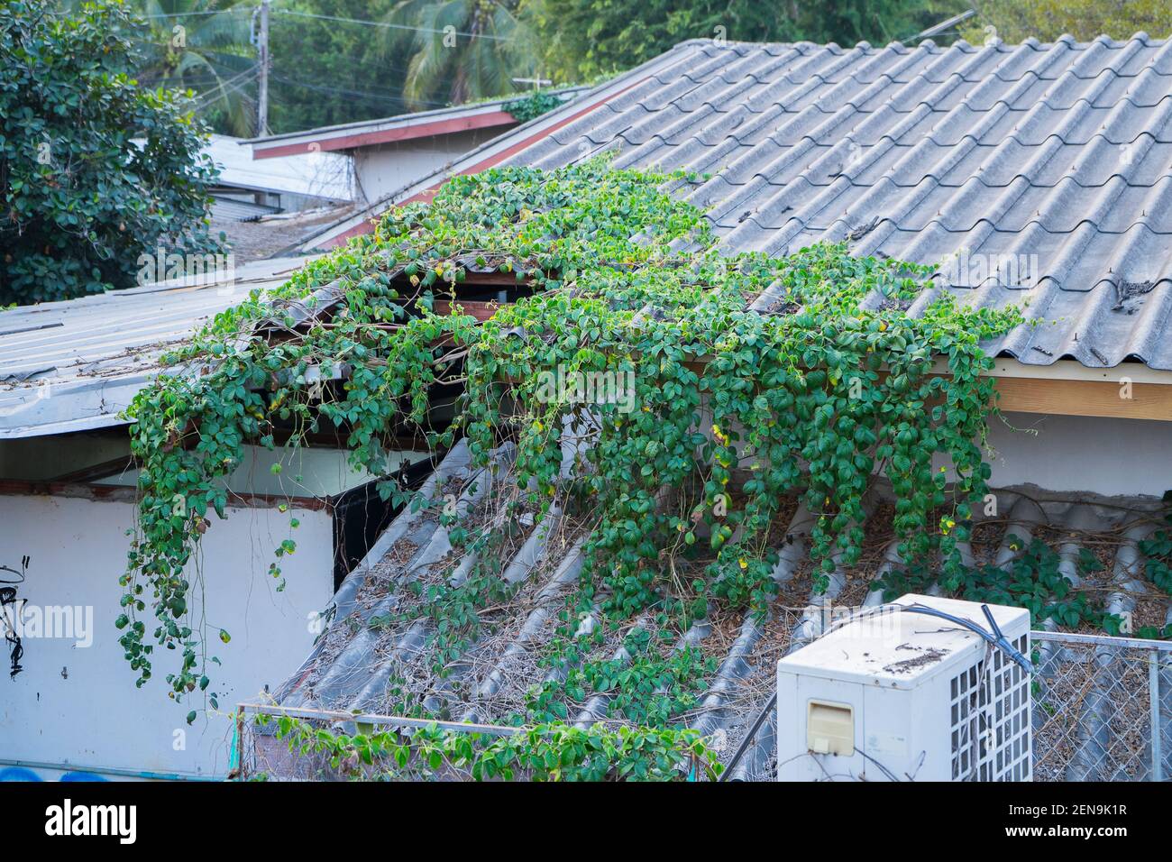 Kudzu house hi-res stock photography and images - Alamy
