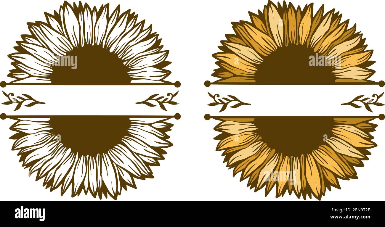 Sunflower half flower Stock Vector Images - Alamy