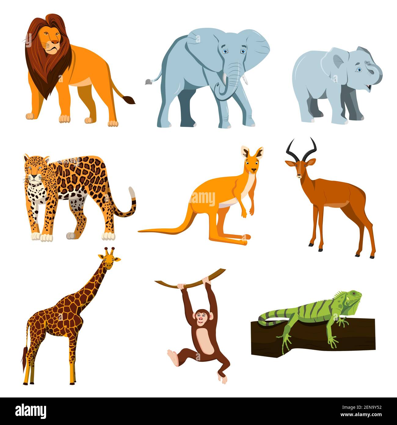 Set of wild animals, zoo. Lion, elephant, baby elephant, jaguar ...