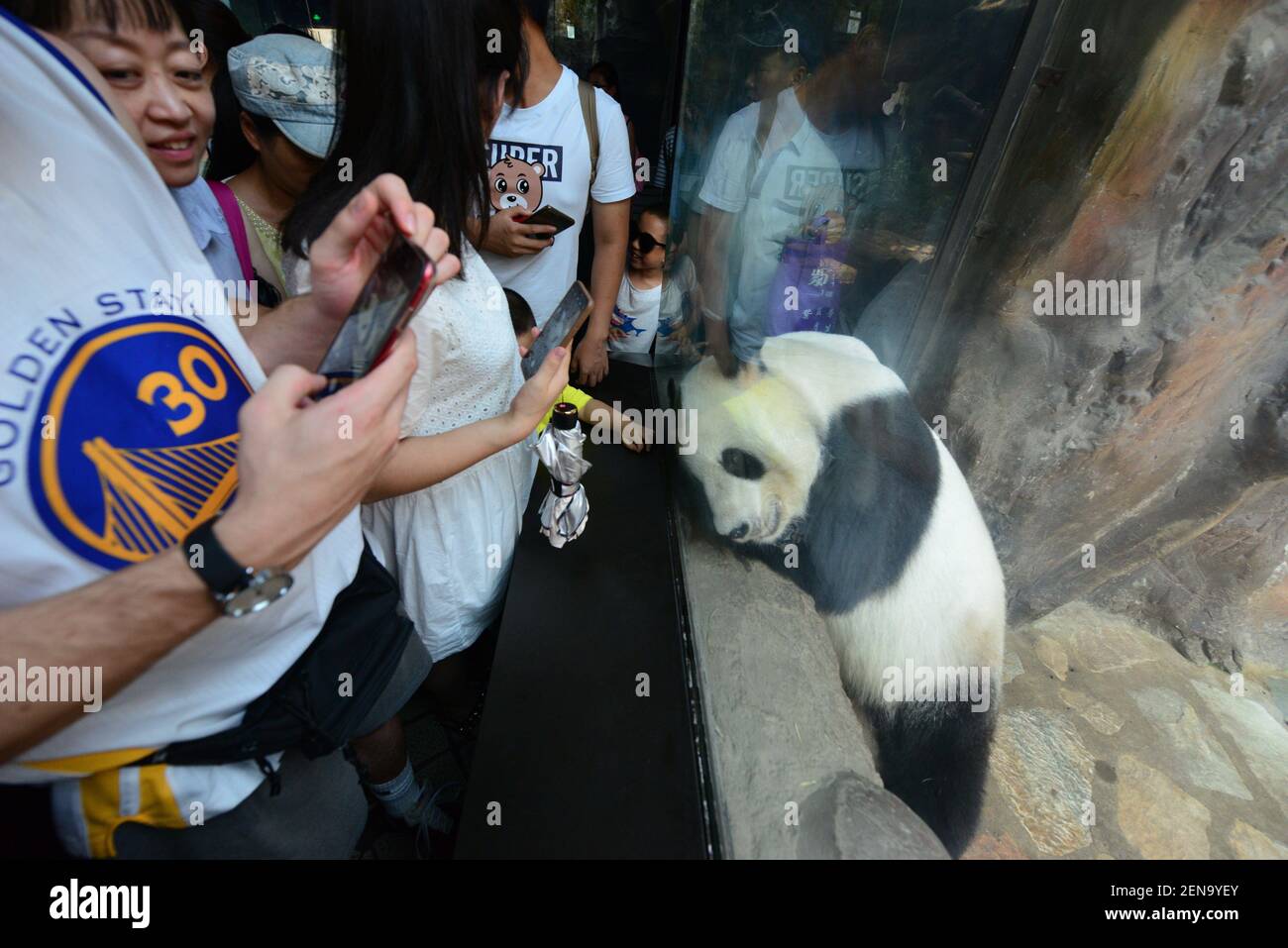 Visitors take photos of a giant panda resting in an air-conditioned ...