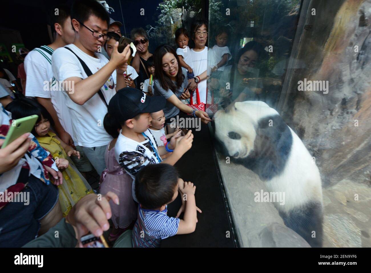 Visitors take photos of a giant panda resting in an air-conditioned ...