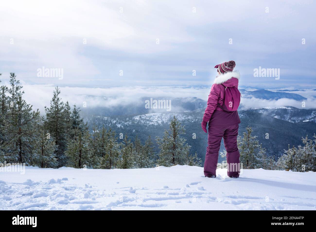 Young woman looking in distance as she stands on the mountain glade ...