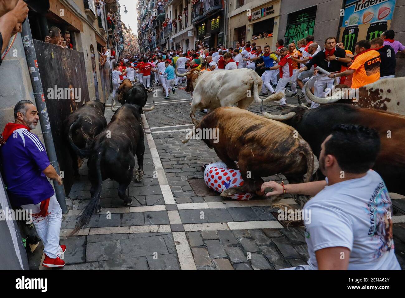 Bulls of the La Palmosilla bull ranch run down a street during the ...