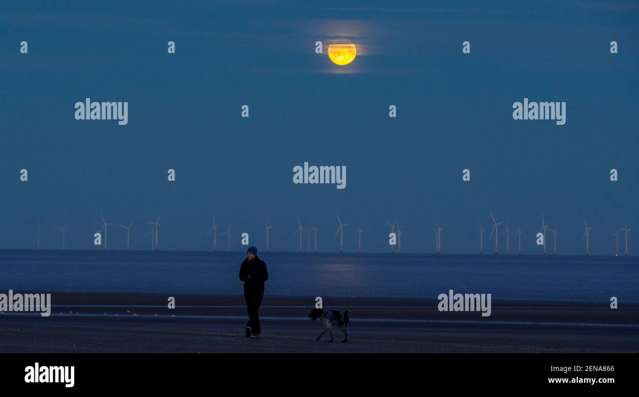 A man walks his dog as the moon sets behind Burbo Bank wind farm off ...