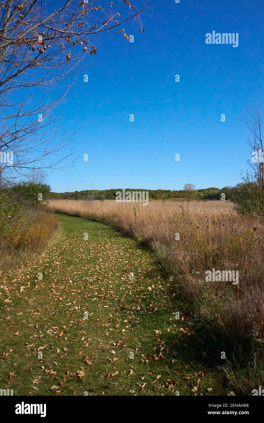 Open field grass hi-res stock photography and images - Alamy