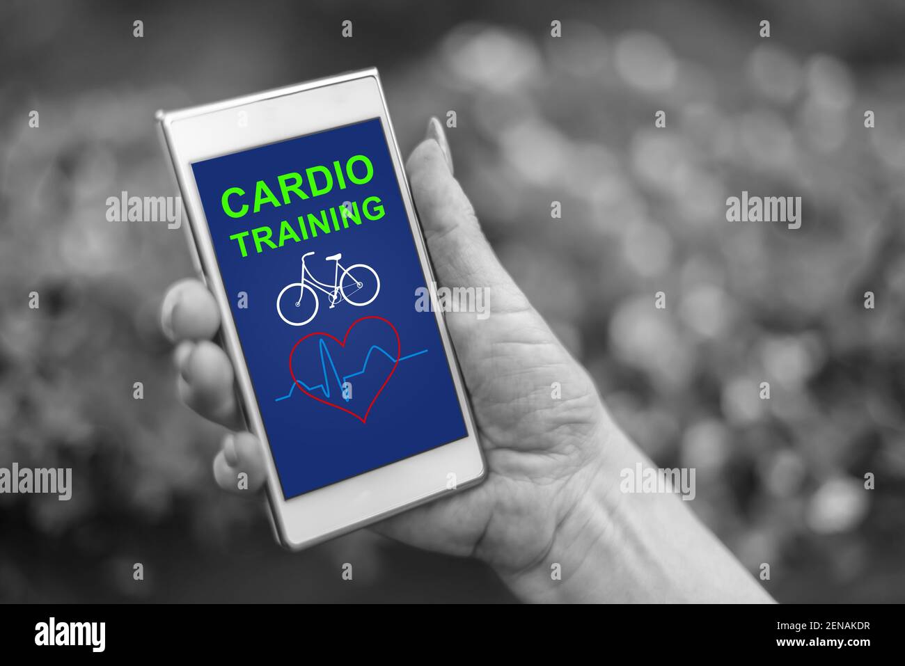 Female hand holding a smartphone with cardio training concept Stock ...