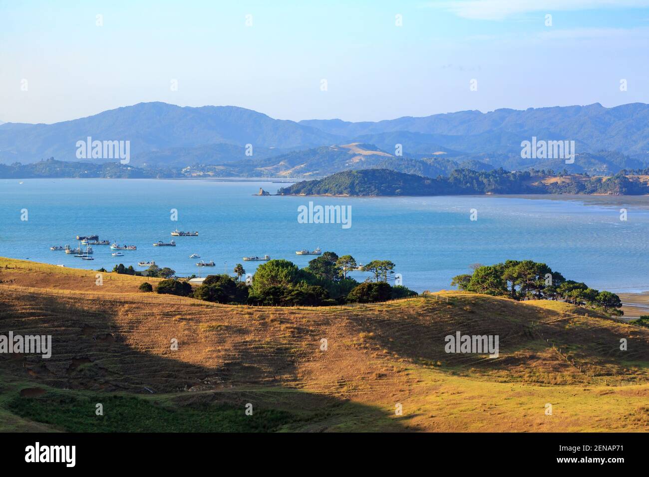 Coromandel Harbour on the Coromandel Peninsula, New Zealand. A fleet of ...