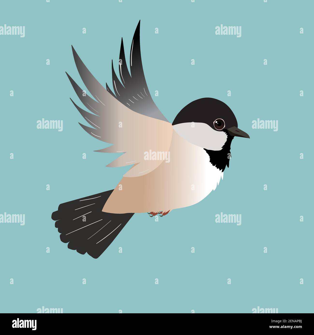 Flying chickadee bird on a blue background Stock Vector Image & Art - Alamy