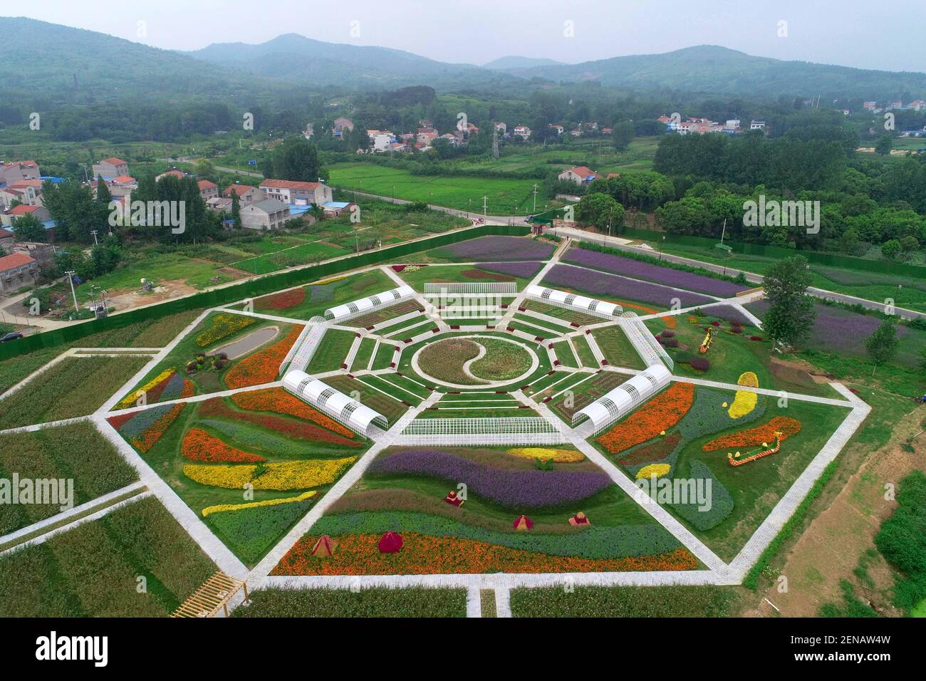 Aerial view of colorful plants featuring the shape of bagua diagram at ...