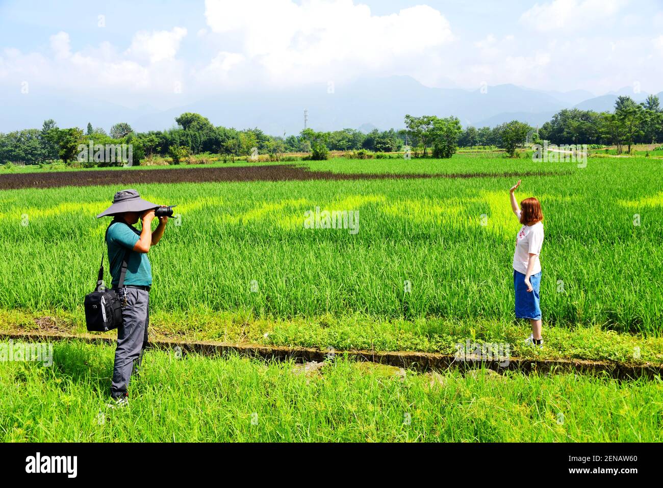 A 3D rice paddy painting of a national flag to celebrate the 70th ...