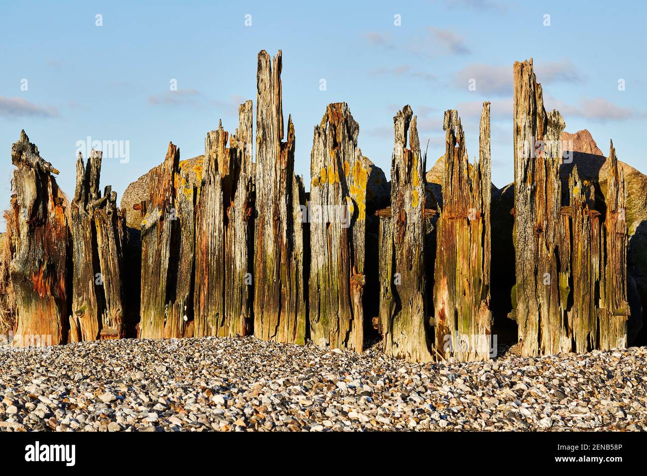 Wood poles hi-res stock photography and images - Alamy