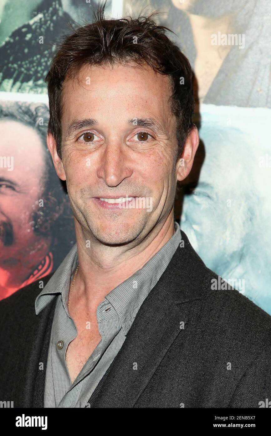 Noah Wyle attends the Premiere Of Sony Pictures Classics David Crosby ...