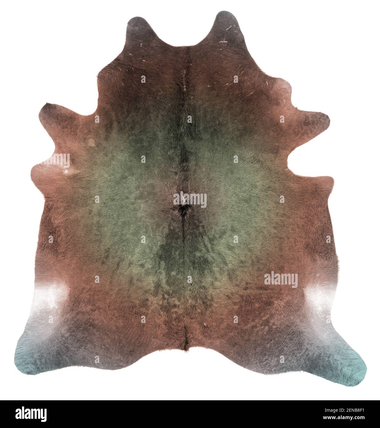 Isolated picture of a dyed cow skin on a white background - Floor ...