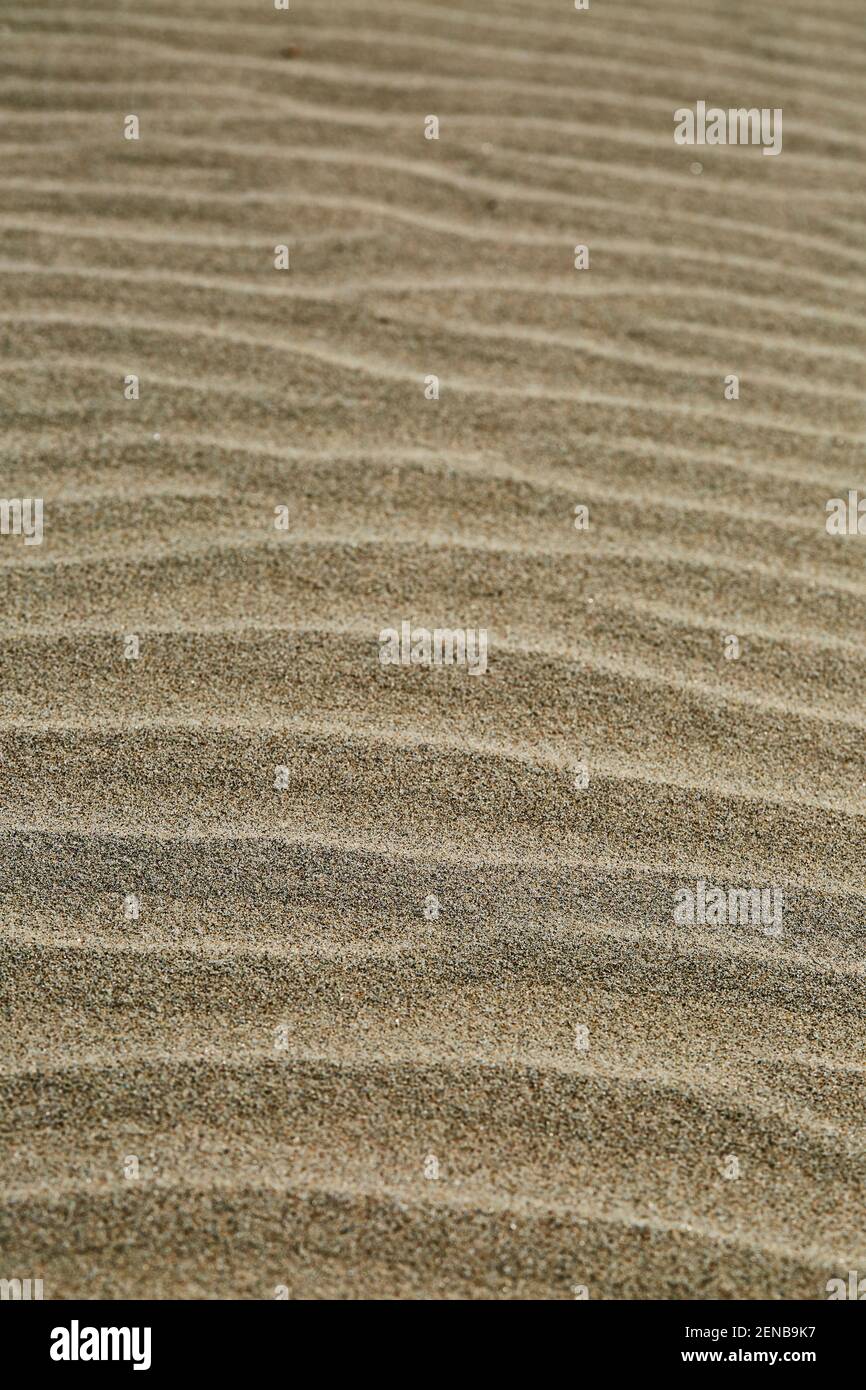 Patterns in the sand Stock Photo - Alamy