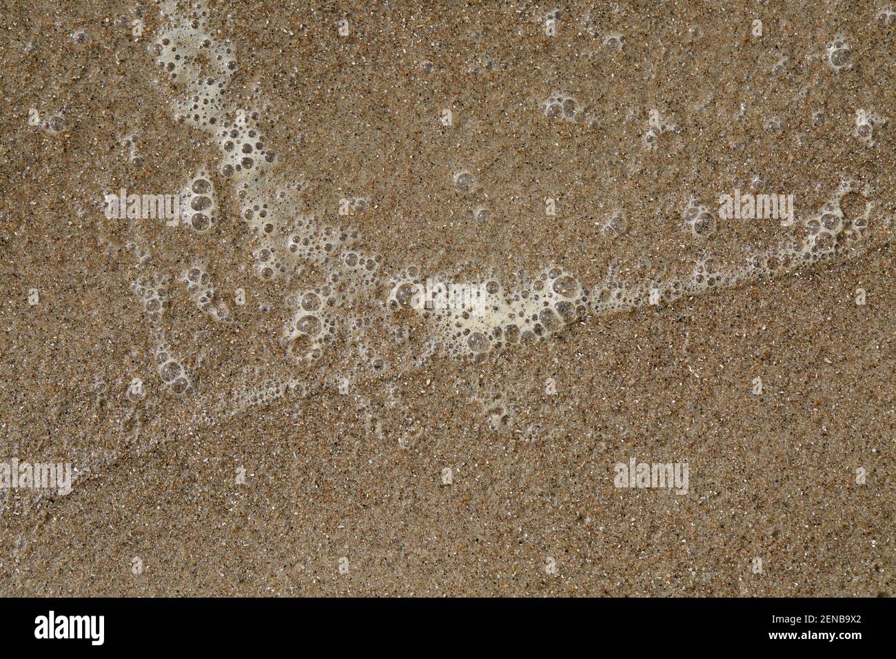 Closeup of water bubbles in the sand Stock Photo - Alamy