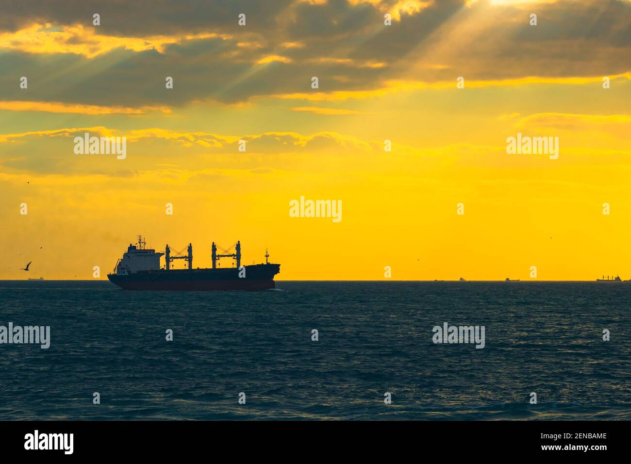 Bulk carrier ship hi-res stock photography and images - Alamy