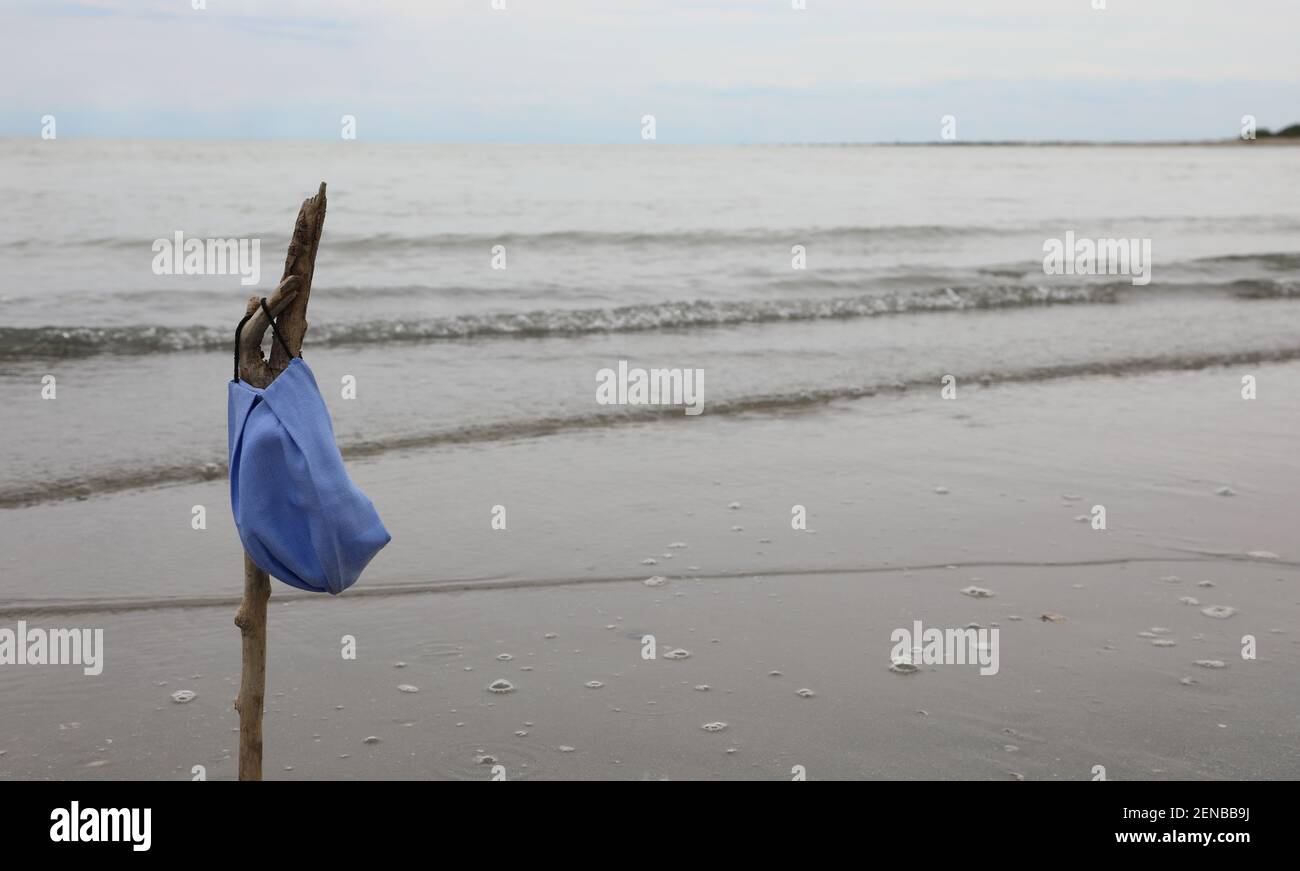 blue surgical mask hanging on the branch on the shore Stock Photo - Alamy