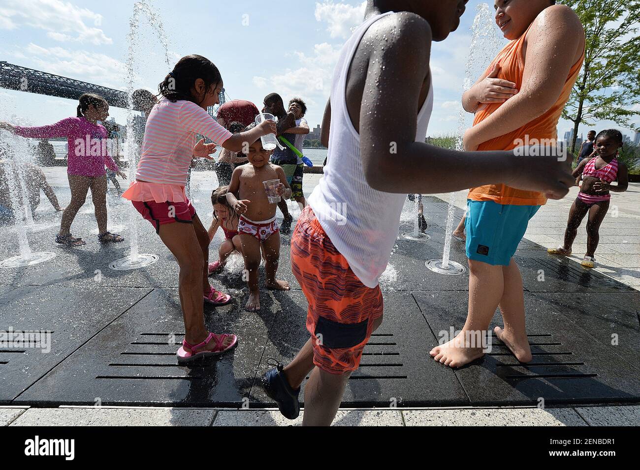 Temperature Brooklyn at Thomas Lawson blog