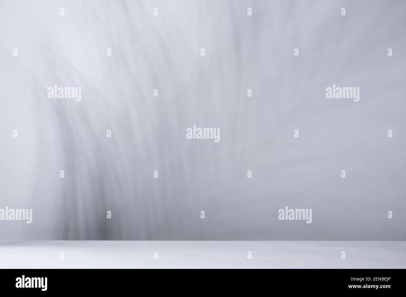 Light white grey wall in sunlight with striped palm leaf shadow and ...