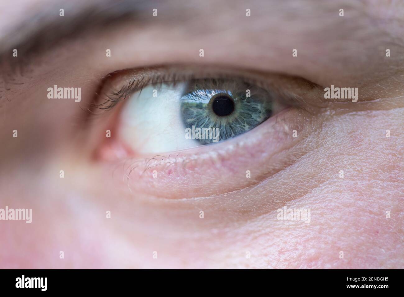 Closeup of beautiful blue eyes Stock Photo - Alamy