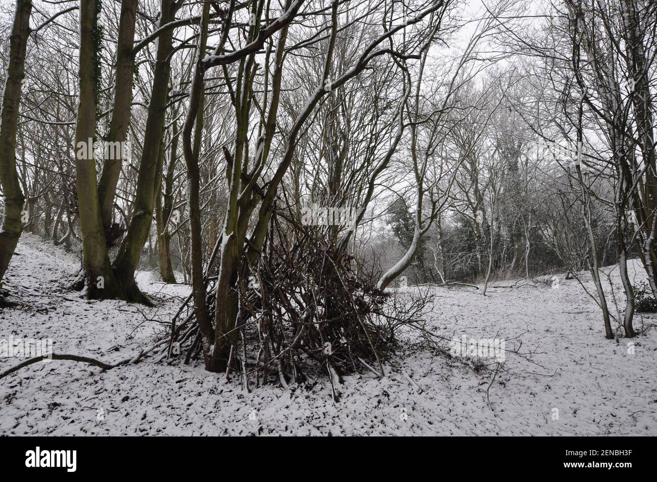Southrepps Commons Local Nature Reserve, Norfolk, England, UK Stock ...