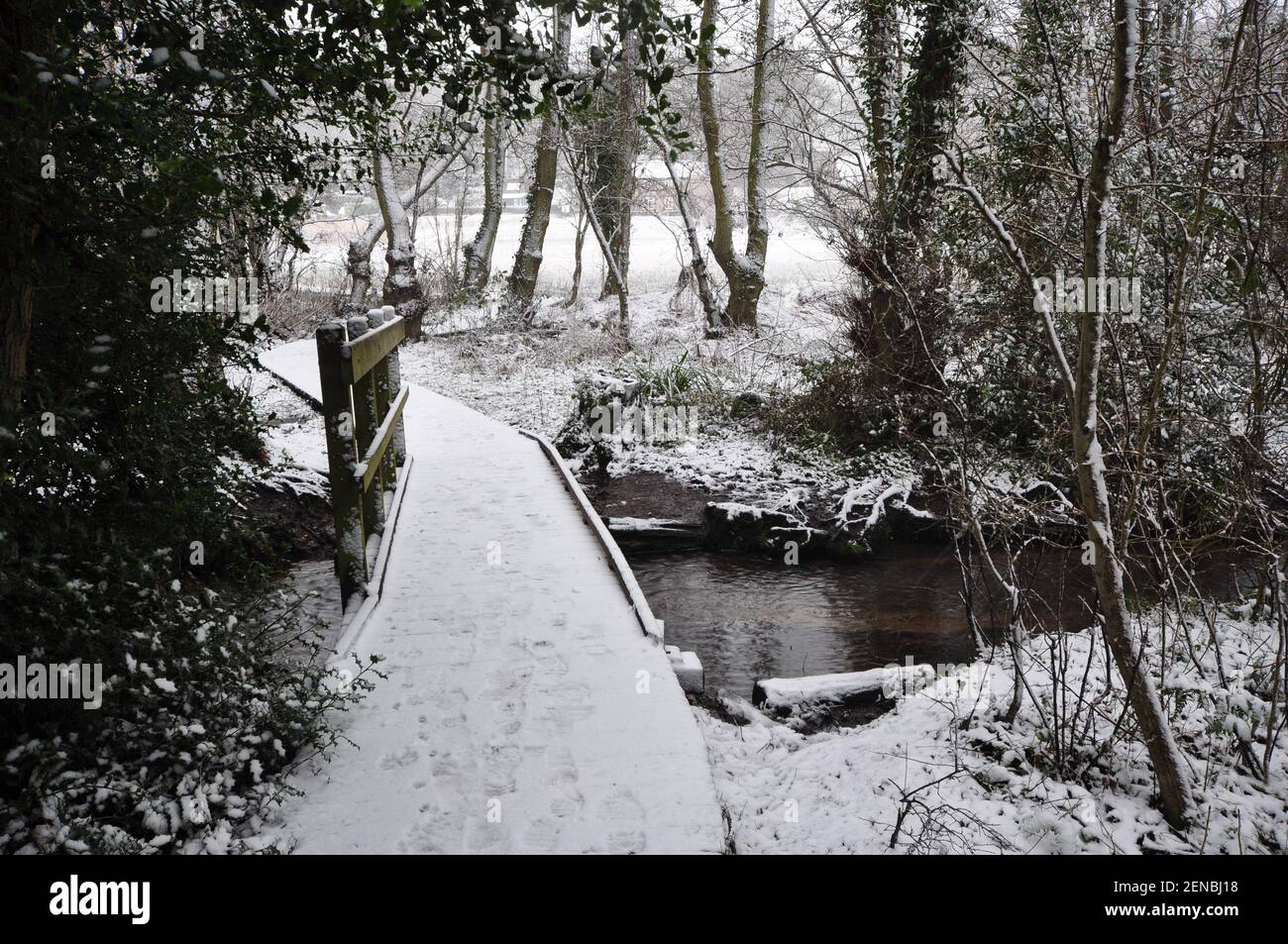 Southrepps Commons Local Nature Reserve, Norfolk, England, UK Stock ...