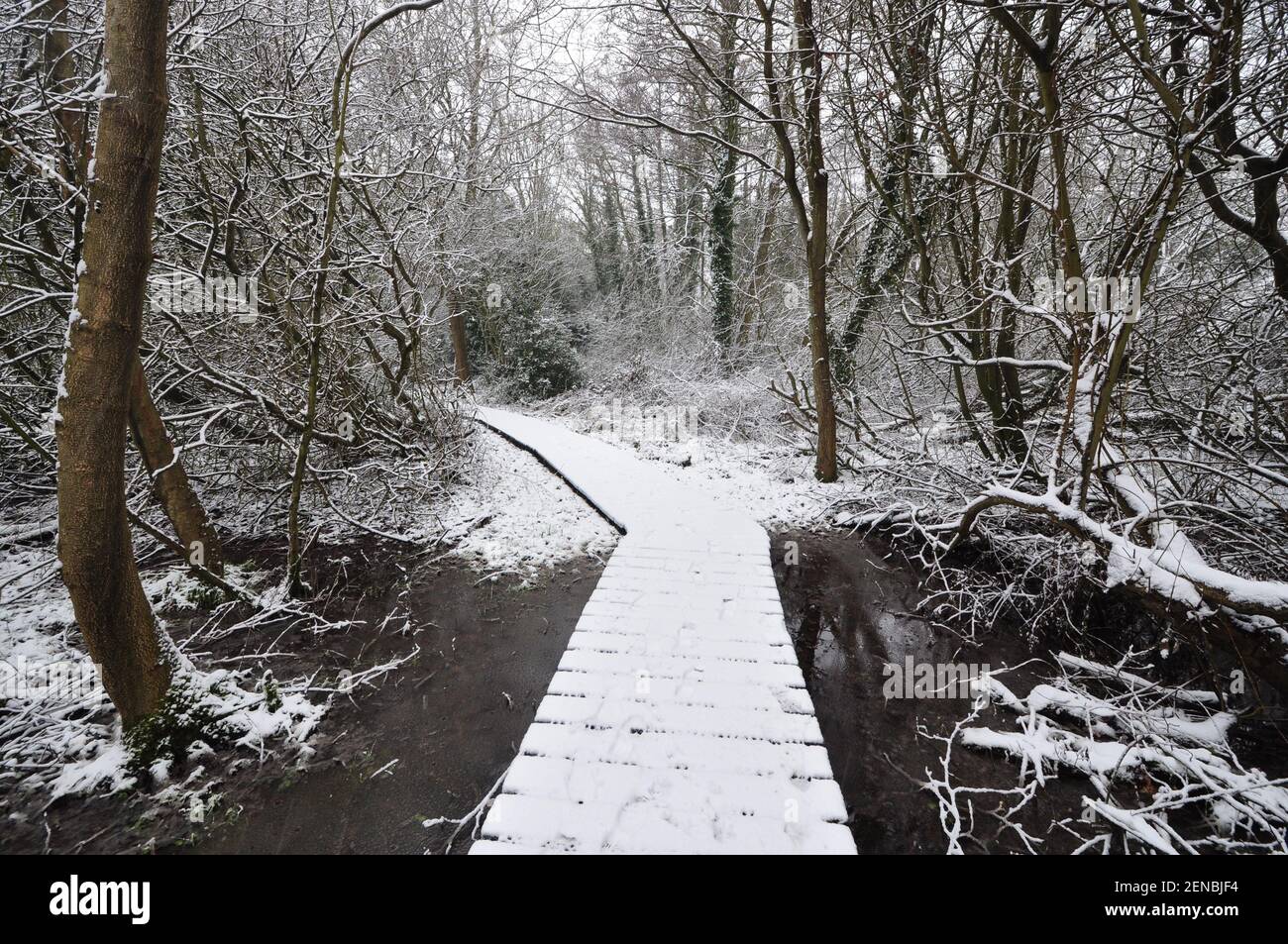 Southrepps Commons Local Nature Reserve, Norfolk, England, UK Stock ...