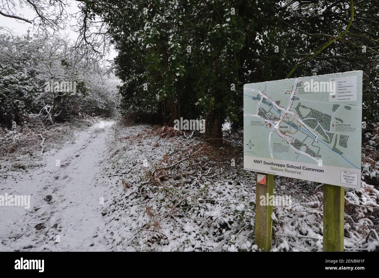 Southrepps Commons Local Nature Reserve, Norfolk, England, UK Stock ...