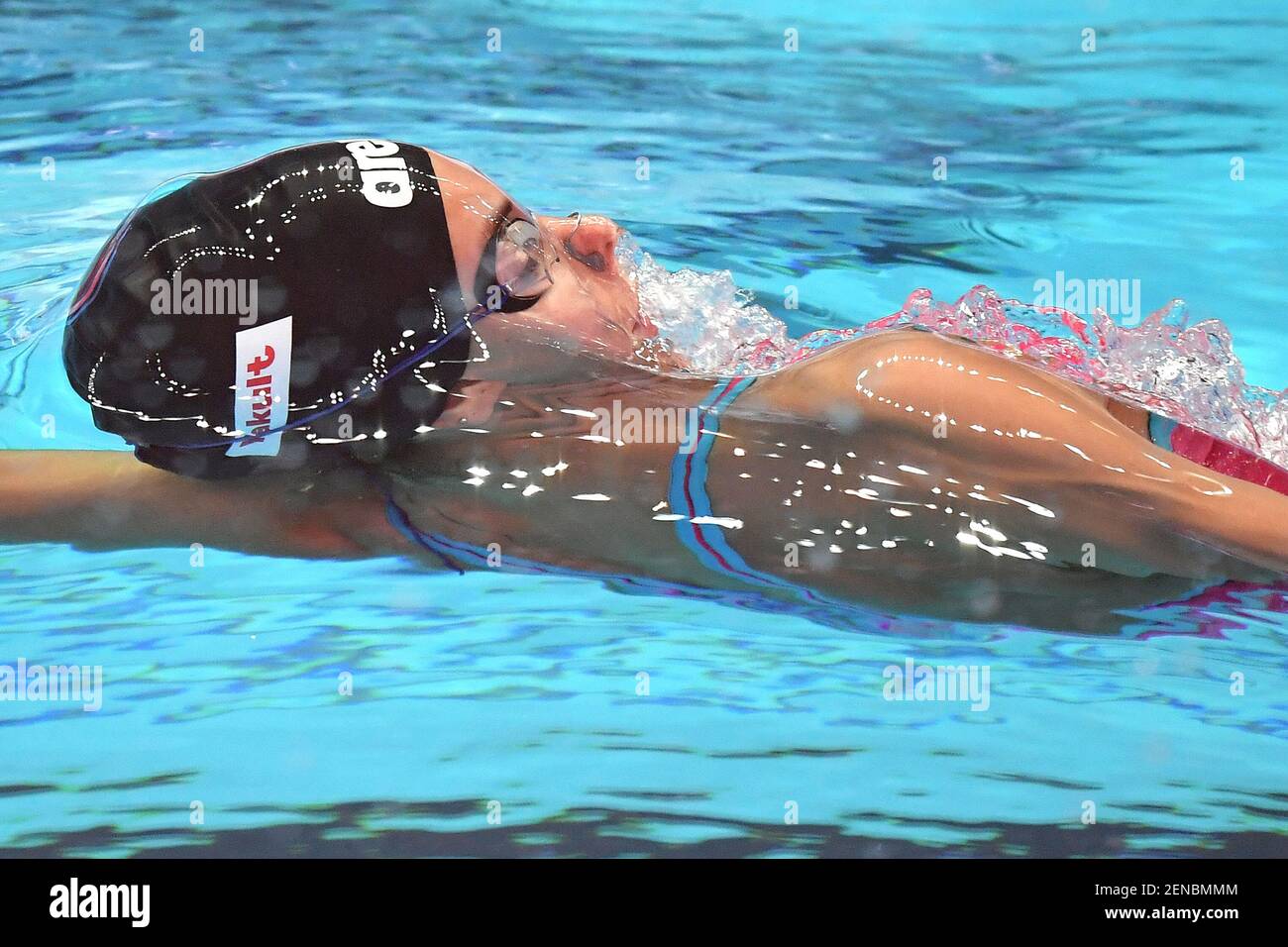 Scalia silvia hi-res stock photography and images - Alamy